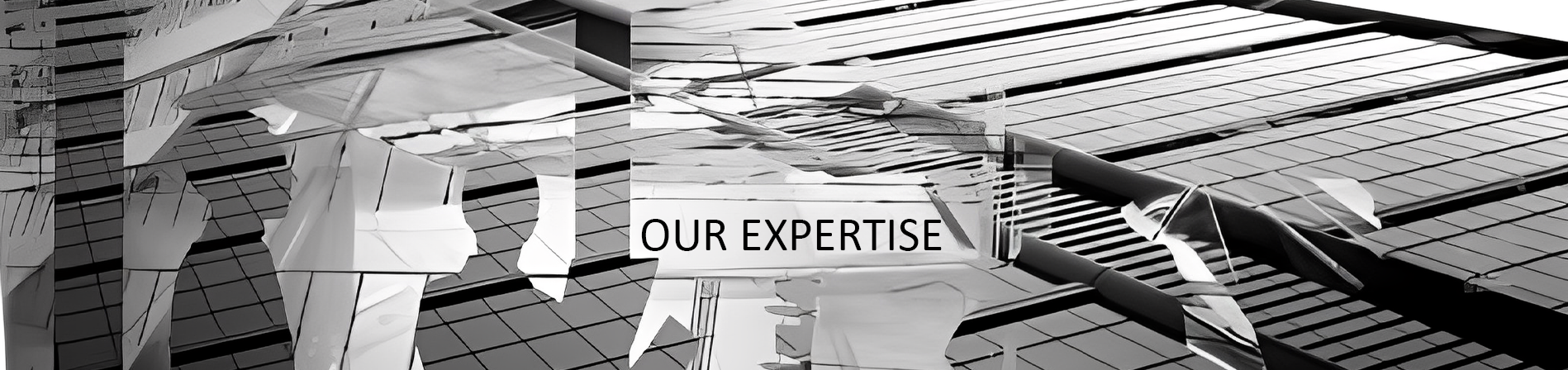 Our Expertise – Tri Ocean
